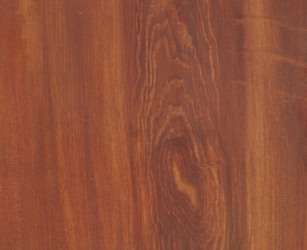 Eloïse d'Argent, peintre en décor