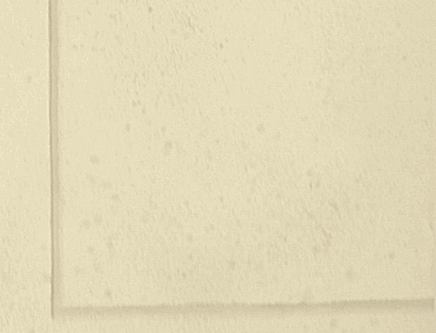 Eloïse d'Argent, peintre en décor
